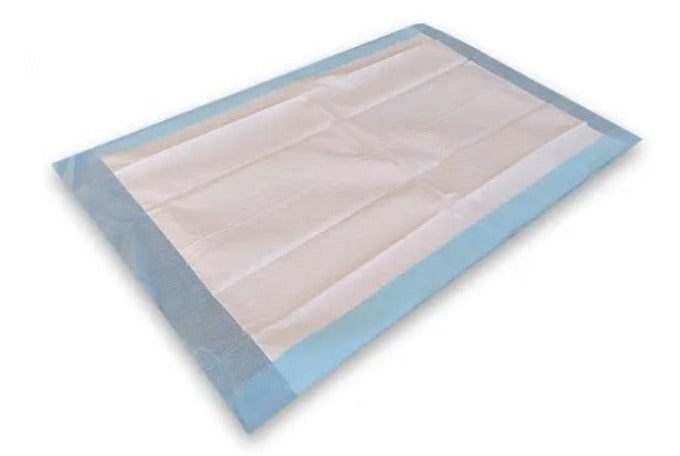 AMS absorbent underpad 300 pcs Bluey – ACE MEDICAL SUPPLIES